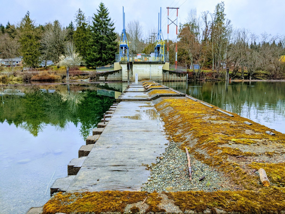 Cowichan Lake Weir Design – Rebuilding the Weir