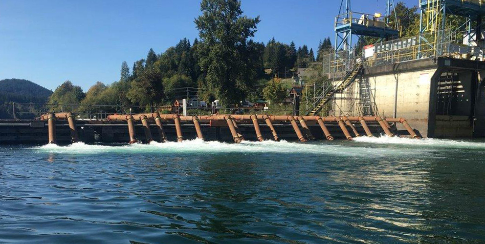 Cowichan Lake Weir Design – Rebuilding the Weir